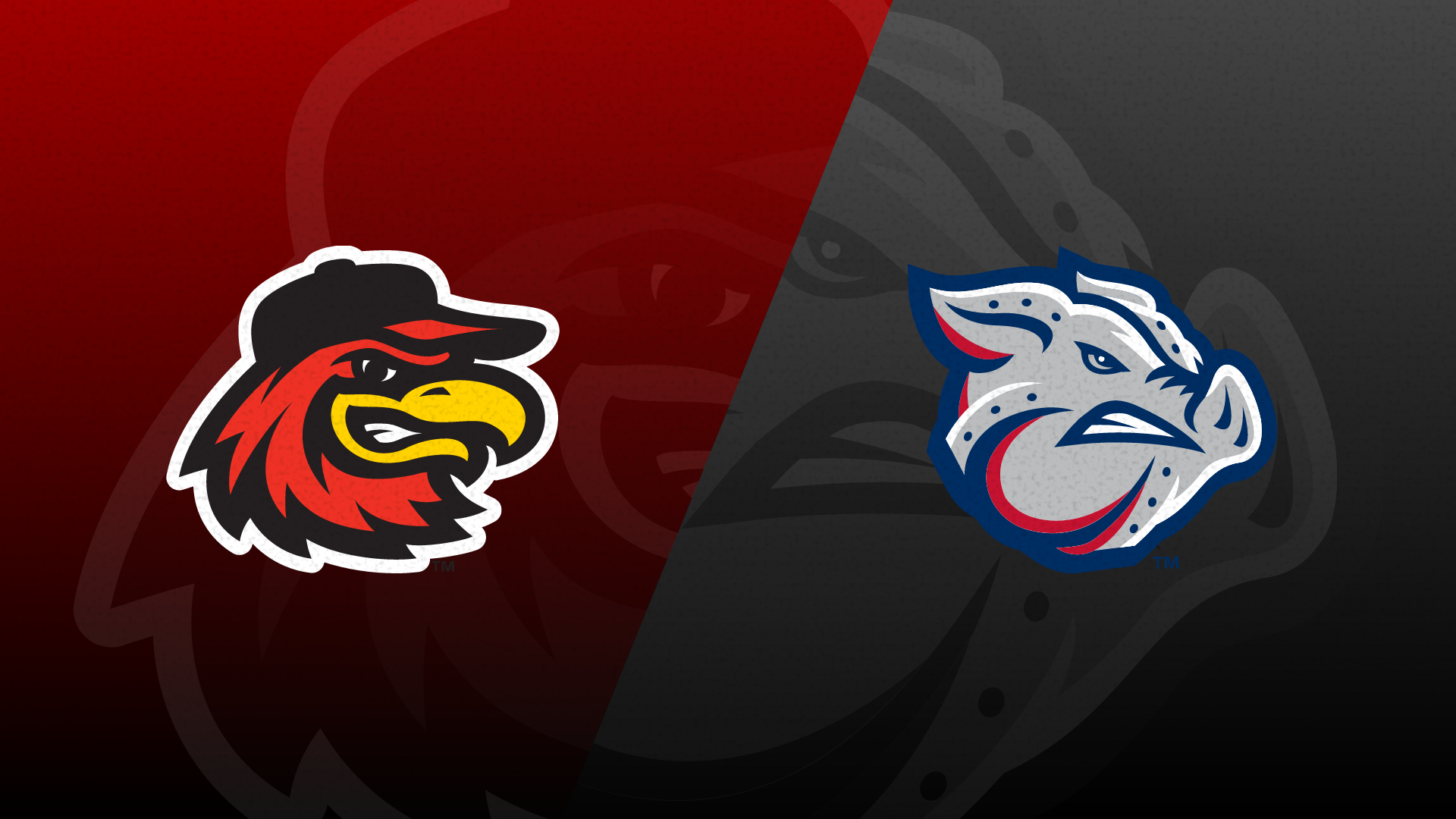 Watch Rochester Red Wings @ Lehigh Valley IronPigs on Bally Sports Live